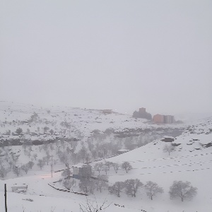 Watch Aslan Aslan Live Stream on BIGO LIVE