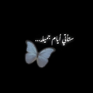 Watch Aknaton🇩🇪 Live Stream on BIGO LIVE