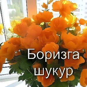 Watch zilola Live Stream on BIGO LIVE